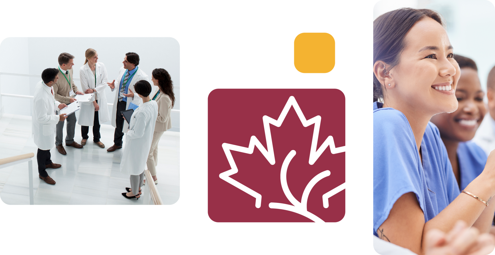 COA Staff - Canadian Orthopaedic Association